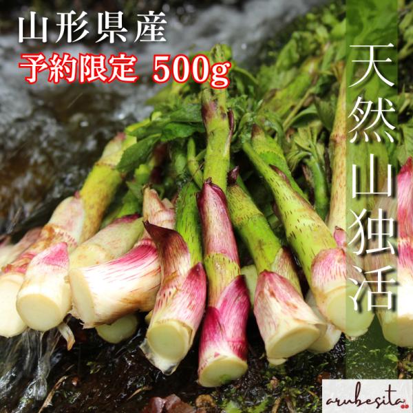 あまりの過酷な採取に、中々採りにいく人が少ない山菜。山奥の崖などの急斜面に自生します。採取直後、雪解け水の流れる沢で水締めを行い活きをなるべく下げないようにしますその味わいは、1度生で味わって欲しい逸品。下ごしらえは簡単。水洗いをして、皮を...