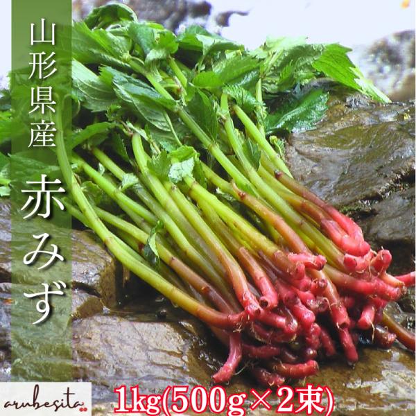 月山筍と時期が重なるため販売中止していましたが１０年ぶりに販売復活します。山形の原生林の清らかな沢沿いに自生する、春から初夏にかけての天然山菜「赤みず」です。アクやクセがないため、山菜特有の苦味が苦手な方やお子様でも安心してお召し上がりいた...