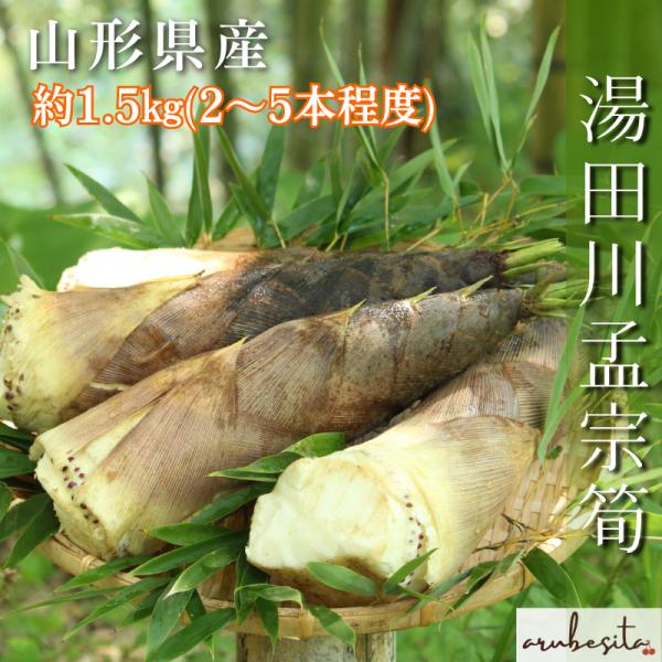 【湯田川孟宗筍】山形県鶴岡市の湯田川温泉一帯で採れる筍。湯田川は酸化鉄を含む赤土粘土質の土壌に湿度のある山に斜面で、筍にとって適した環境が整っています。このような環境で採れる筍は、柔らかく、甘みのある上質な筍です。柔らかな歯ごたえで、えぐみ...