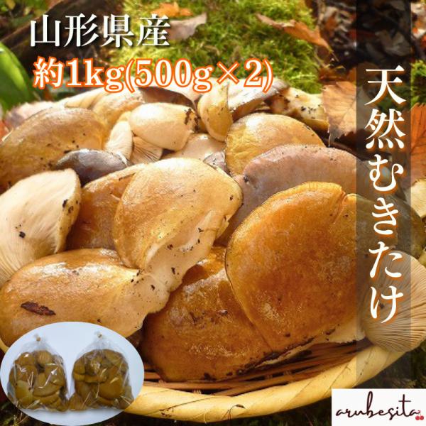 天然むきたけは、奥山の倒木や枯れ木などに重なるように群生します。表皮がむきやすいことから「ムキタケ」という名前になったそうです。ゼラチン質はプリプリしており、肉厚で癖もなく、鍋で煮るとトロンと口当たりよいきのこです。味噌汁や鍋などに最高です...