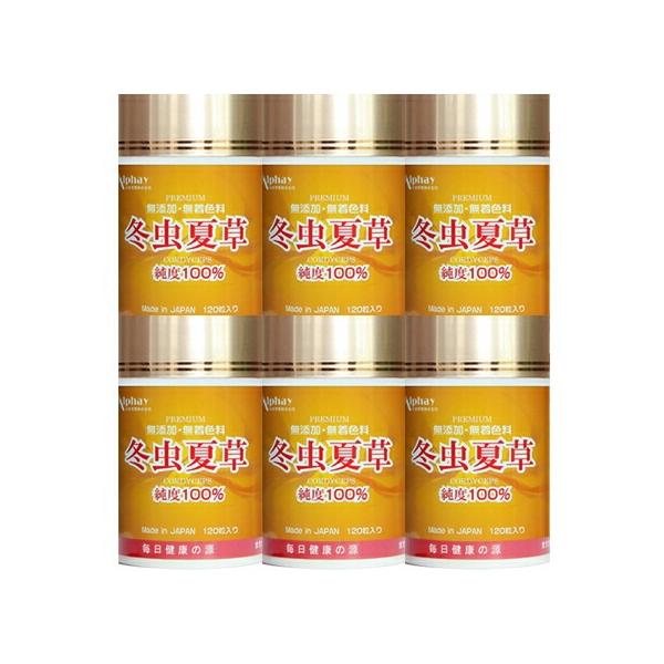 原材料名：冬虫夏草末 ( サナギタケ１００％ )