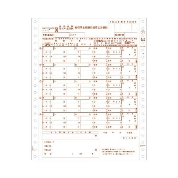 購入単位：1箱OAサプライ OA用紙 帳票用紙 帳票 コンピューター帳票 コンピュータ帳票 伝票 ヒサゴ ひさご HISAGO 汎用帳票 汎用伝票 ヒサゴ帳票 ヒサゴ伝票 HISAGO帳票 HISAGO伝票 PC関連用品 PC用品 OP31...