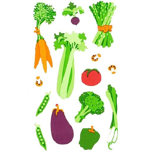 １片　51mm×82mm２シート