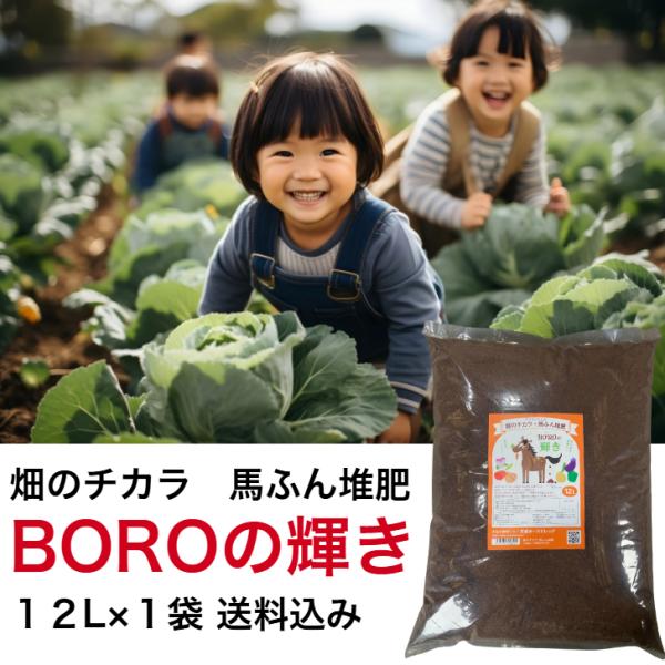 【発売日：2022年12月22日】完熟堆肥 畑のチカラBOROの輝き 12L×1袋 有機堆肥 馬糞堆肥 馬ふん堆肥 畑の土 家庭菜園 土づくり 臭わない馬ふん堆肥の有効性は？馬は咀嚼(そしゃく)が荒いことから馬ふんにも牧草の繊維が多く残りま...