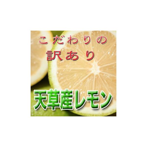 天草産レモン3kg入り【価格】3200円（税込み/送料込み※東北・北海道・沖縄・離島を除きます）【産地】国産　天草【内容量】3kg入り(20個〜30個)【サイズ】Sサイズ〜Lサイズ【送料無料】東北・北海道地方は配送料金330円加算されます。...