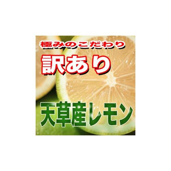 【内容量】5Kg以上（45個〜70個）【産地】熊本・天草【単価】3980円（税込み/送料込み※東北・北海道・沖縄・離島は除きます）【サイズ】混交　【送料】東北・北海道・沖縄・離島は330円から650円加算されます。4月以降は全地域クール料金...