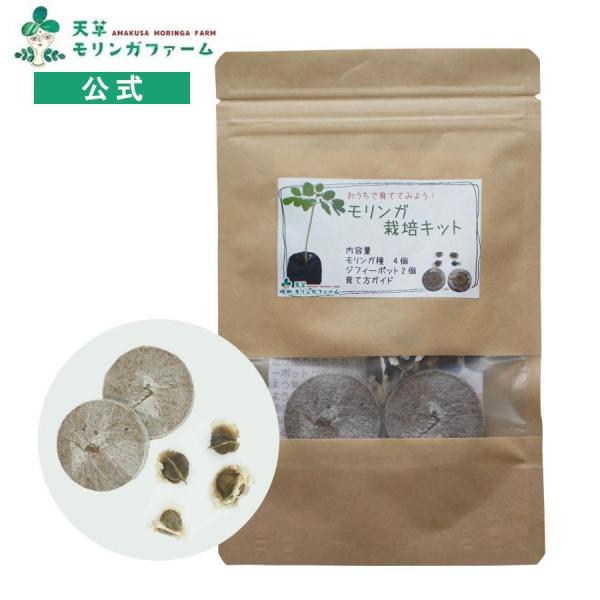 モリンガは北インド原産のワサビノキ科に属する樹木で、露地植えで成長すると半年で３〜４ｍ以上になります。モリンガは葉、花、鞘、種すべてに利用価値があることが古くから知られています。また、ビタミン群やミネラル等も豊富に含み、3000年の歴史を持...