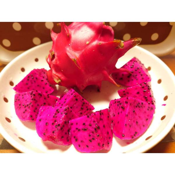 徳之島伊仙町産のドラゴンフルーツ！契約農家さんが変わりました。品質は折り紙付きです！注文個数１につき１０キロの量り売りとなります。10月頃まで販売予定です。※農作物ですので、正確なお届け日のお約束は致しかねます。痛みやすいため、なるべく採れ...