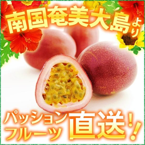 <br>※必ずご確認ください！！<br>※お届け日指定不可<br>※自然の物ですので、お届け日の指定はお受けできません。<br>※ご注文頂いた商品は、天候や台風などの自然災害により収穫時期が遅...