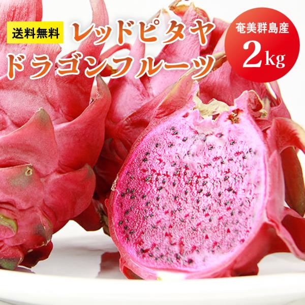 【発売日：2026年08月01日】夜に大きく白い花を咲かせ、わずか一晩で実を結ぶ神秘の果実「ドラゴンフルーツ」。奄美の太陽と潮風をたっぷり浴びて育った果実は、見た目も味わいも華やか。果肉は鮮やかな赤紫色で、ぷちぷちとした食感とほどよい甘さが...