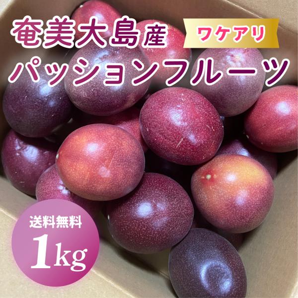 【発売日：2026年06月01日】奄美大島で育った、トロピカルな香りが広がる「パッションフルーツ」です。ゼリー状の果肉とカリッとした種の食感、ほどよい酸味とまろやかな甘みが魅力の果実。こちらはC級品のワケあり商品です。パッションフルーツは追...