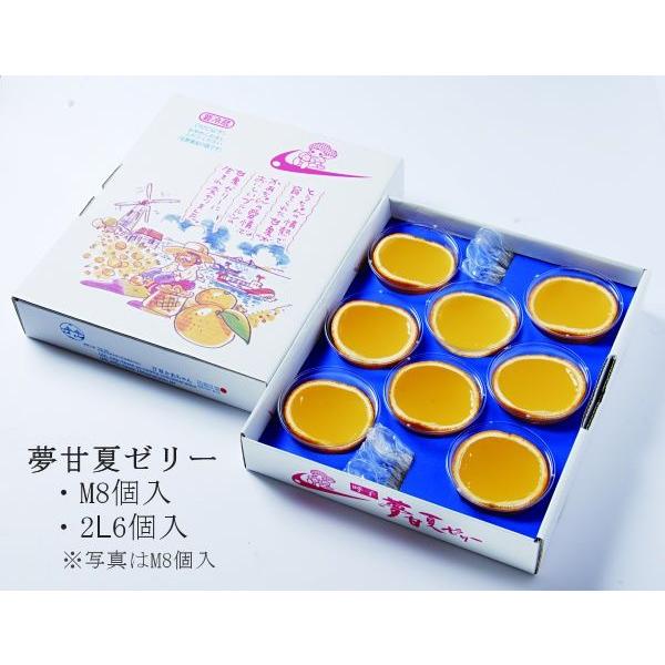 甘夏ゼリーには香料・保存料・着色料・化学調味料の添加物は使用しておりません。作り立て（新鮮さ）を、お客様の食卓へお届けするため、受注製造・産直を基本としています。 呼子夢甘夏ゼリーＭサイズ13個入り