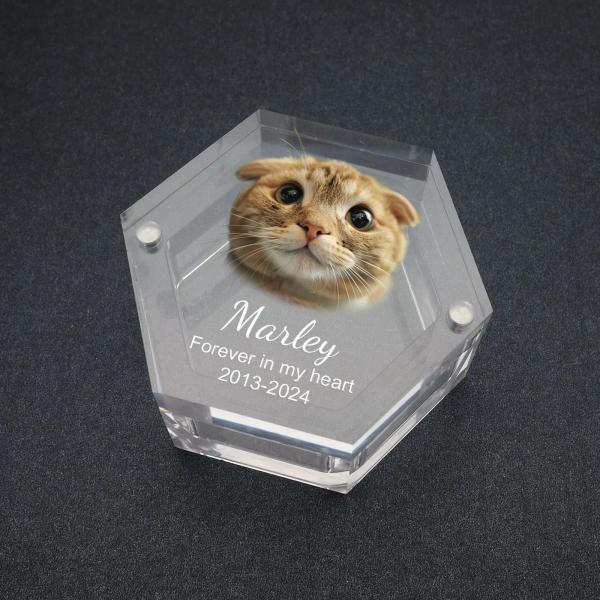 説明:[素材]: 高品質のアクリルで作られたこの犬の毛箱は.透明なのでペットの毛を美しく見せることができます. [コンパクトで実用的]: 箱のサイズは約7.5cmx6.5cmx3.4cm/2.95インチx2.56インチx1.34インチで.本...