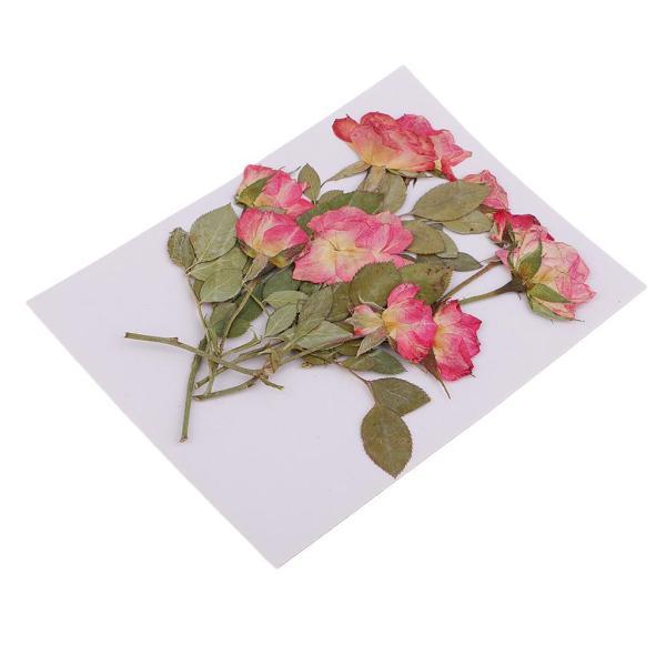 説明:枝と葉のある本物の天然のバラのつぼみでできているため.各ピースのサイズと形状はわずかに異なります.花の形や色はよく保存されています.DIYプロジェクトに最適な素材.手作りのブックマーク.スクラップブッキング.アルバムフレームの装飾.ア...