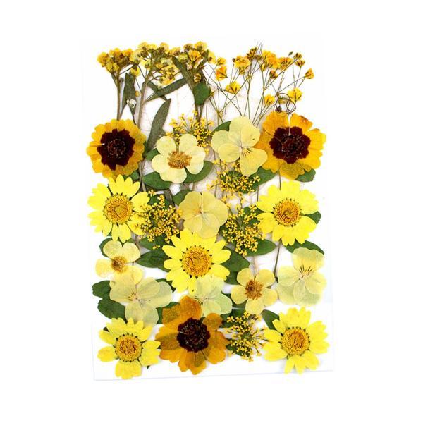 説明:自然の葉と複数の種類の花でできているため.各ピースのサイズと形状はわずかに異なります.乾燥させた本物の自然な花の植物.色.形がよく保たれています. DIYアートクラフトプロジェクト.フェイスメイクオーナメントに最適な素材です.手作りの...