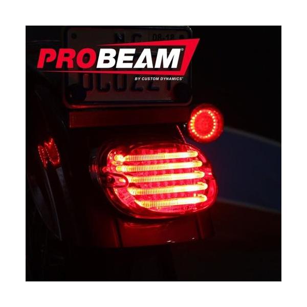 レッドレンズ / 下側ナンバープレート照明窓有り1999〜24年スポーツスターモデル、ダイナモデル、ソフテイルモデル、ツーリングモデルで標準装備のスクエアバックテールライト装着車(68245-03)に適合 (但しトライグライドモデルは除く)...