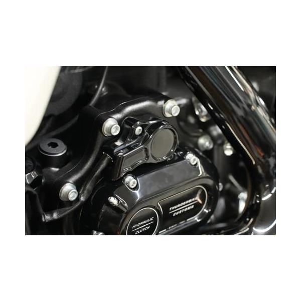 2025年以降ソフテイルモデル、2023年以降FLHXSE、FLTRXSE、2024年以降FLHX/U、FLTRX/STSEに適合カラー：ブラック素材：アルミニウムTHUNDERBIKE(サンダーバイク)ハーレー カスタムパーツオイルライン...