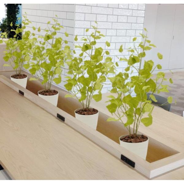 フェイクグリーンのポプラの木三角形のおにぎりみたいな形をした可愛いらしい葉が特徴の植物です。ライトグリーンの明るい葉色に、あっさりめのボリューム感がお洒落な雰囲気をかもしだします。（商品サイズ）全長/約80cm横幅/約40cm（材質）葉/ポ...