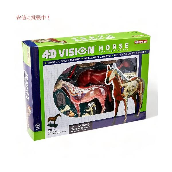 馬が好きな方、獣医師を目指す方の必需品です。馬の骨や臓器を取り外して交換しながら、馬の解剖学的構造を学ぶことができる。高さ7インチの模型には、25の取り外し可能な臓器や体のパーツとディスプレイスタンドが含まれています。イラスト入りの組み立て...