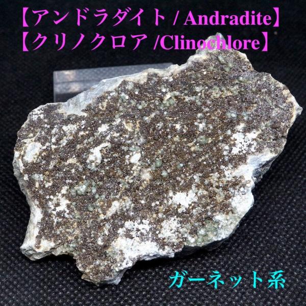 【アンドラダイト / Andradite】【クリノクロア /Clinochlore】ガーネット系褐色の小さなキラキラ結晶のアンドラダイト、渋いグリーンのクリノクロア。クリノクロアはしっかりした結晶がいくつも見えます！こちらはコレクターとして...