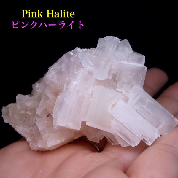 ★このクリスタルは岩塩で、取り扱い注意がございます。１年に１度のみ一般開放されるシアレスレイク（カリフォルニア）でのイベントGem-o-ramaにて採掘された貴重な岩塩です。国内ではほぼ出回っておらず、ミネラルショーなどで見られることもあり...