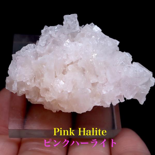 ★このクリスタルは岩塩で、取り扱い注意がございます。１年に１度のみ一般開放されるシアレスレイク（カリフォルニア）でのイベントGem-o-ramaにて採掘された貴重な岩塩です。国内ではほぼ出回っておらず、ミネラルショーなどで見られることもあり...