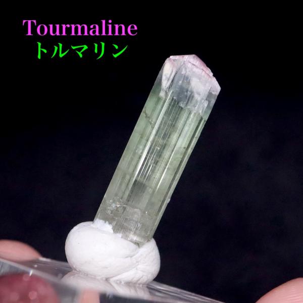 【トルマリン / Tourmaline】薄いパステルグリーンにトップがピンクのバイカラートルマリンアクリルプレートなし重さ：1.4g大きさ：12 x 7 x 7 mm産地：Tourmaline King mine, Pala Distric...
