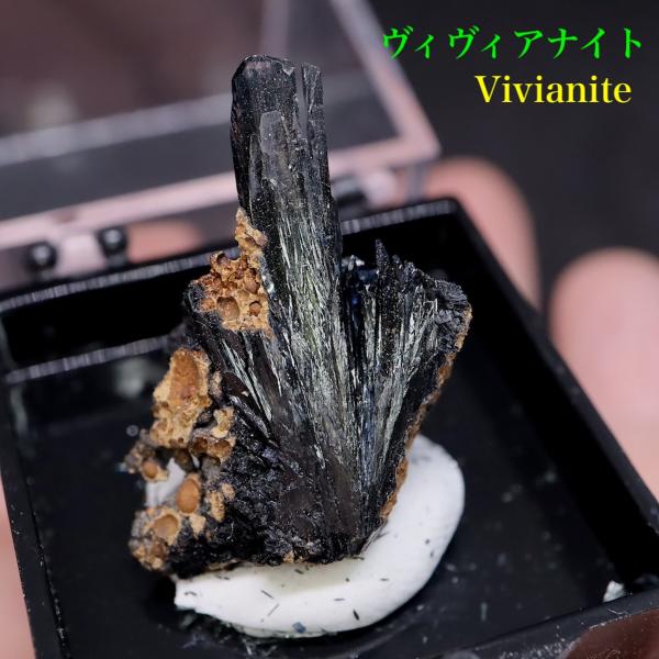 【Vivianite / ヴィヴィアナイト】　藍鉄鉱リン酸塩鉱物のヴィヴィアナイト土の中では無色透明、光や空気に触れることでグリーンやブルーになる鉱物こちらは漆黒のような見た目ですが、光を当てたりじっくり見ると濃い藍色のような深いグリーンの...