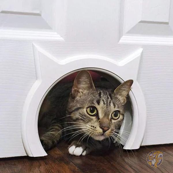 【猫専用ドア The Kitty Pass】かわいくて安全！お部屋の出入りをスマートに 【安全でかわいい猫用通り抜け口】 The Kitty Pass（キティパス）は、閉じた室内ドアの上下を気にせず、愛猫が安全に出入りできる専用ドアです。 ...