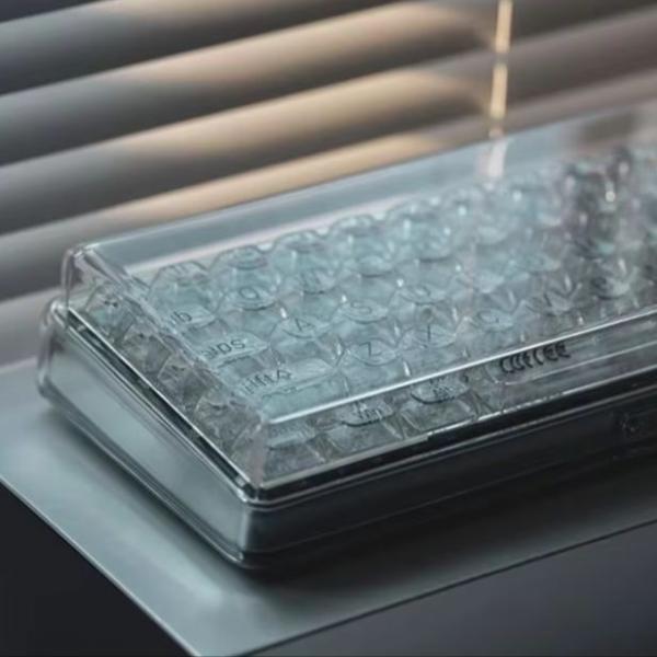 弊社は海外から直接お客様にお届けすることで、中間手数料を極限まで排除することによりこの価格を実現できております。注文があり次第海外倉庫から取り寄せを行いますので、配送まで7日〜最大21日いただいております。ご理解頂いた上で、ご購入ください。...