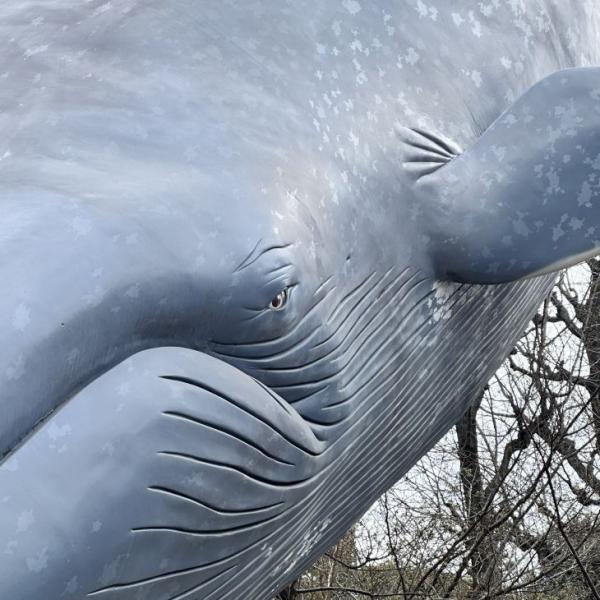 【内容量】　写真に記載【原材料】　写真に記載【原産地】　写真に記載　北西太平洋等【賞味期限】冷凍はラベルに気刺し　解凍後冷蔵で3-4日　※賞味期限は最新のものとなり、写真と異なります。　これからも日本の味を守り続けます！！沖縄は＋５００円と...