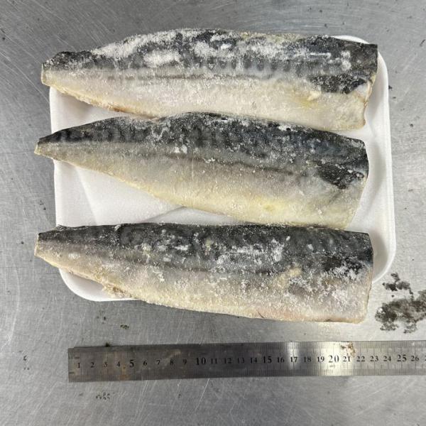 　ノルウェー産のさばは、日本より寒い地域なので脂がのっています！地球温暖化でサバが増えすぎて廉価になっています！食べて地球環境を守ろうというきれいごとではなく、安いので食べましょう！！！DHAEPA豊富で血液サラサラ！！！！　業務用5ｋｇも...