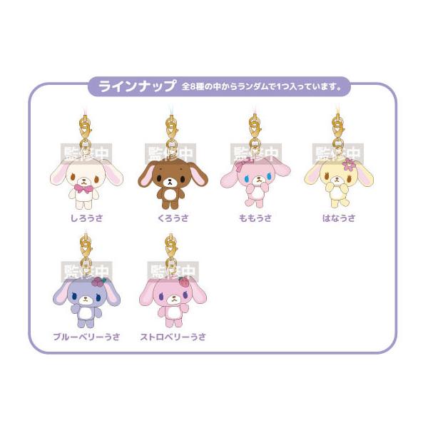 【発売日：2026年05月31日】◆入荷次第出荷（発売予定：２６年０５月未定）◆お一人様 6 点まで（本店支店合計）※同一住所より複数件のご注文をいただいた場合、ご注文を取り消しさせていただくことがございます。◆仕様：【1BOX】8個入り ...