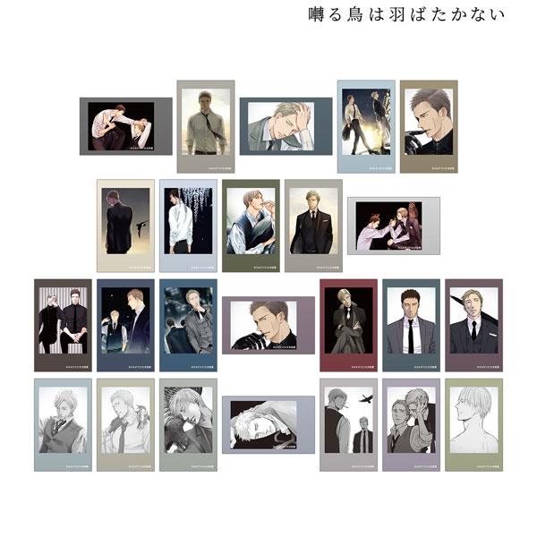 【発売日：2026年05月19日】◆入荷次第出荷（発売予定：２６年０５月中旬）◆お一人様 3 点まで（本店支店合計）※同一住所より複数件のご注文をいただいた場合、ご注文を取り消しさせていただくことがございます。◆仕様：【1BOX】8個入り ...