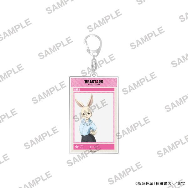 【発売日：2026年06月30日】◆入荷次第出荷（発売予定：２６年０６月未定）◆お一人様 3 点まで（本店支店合計）※同一住所より複数件のご注文をいただいた場合、ご注文を取り消しさせていただくことがございます。◆仕様：【サイズ】約H87&a...