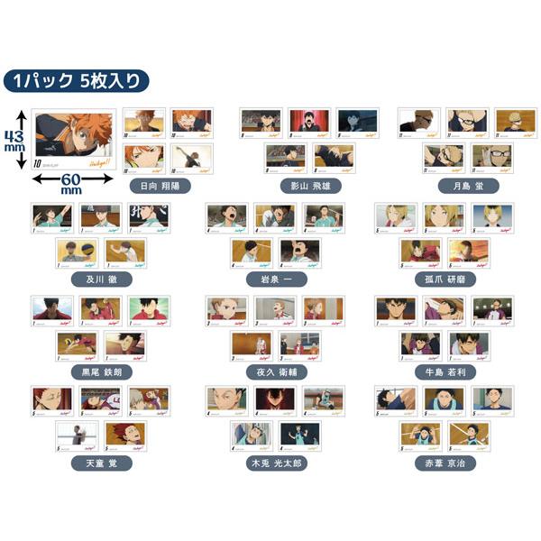 【発売日：2026年06月30日】◆入荷次第出荷（発売予定：２６年０６月未定）◆お一人様 6 点まで（本店支店合計）※同一住所より複数件のご注文をいただいた場合、ご注文を取り消しさせていただくことがございます。◆仕様：【1BOX】12パック...