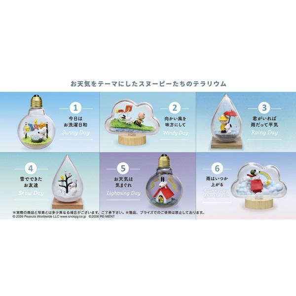 【発売日：2026年07月31日】◆入荷次第出荷（発売予定：２６年０７月下旬）◆お一人様 12 点まで（本店支店合計）※同一住所より複数件のご注文をいただいた場合、ご注文を取り消しさせていただくことがございます。◆仕様：【1BOX】6個入り...