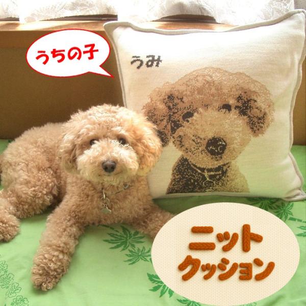 【発売日：2022年05月19日】LINEでデザイン相談・仕上がり確認気に入ればカートへペットの写真で作る編み物のオーダーメイド犬好き、猫好き、ペット飼い主さんへの誕生日プレゼントに！結婚祝い、還暦祝い、退職祝いの記念品。