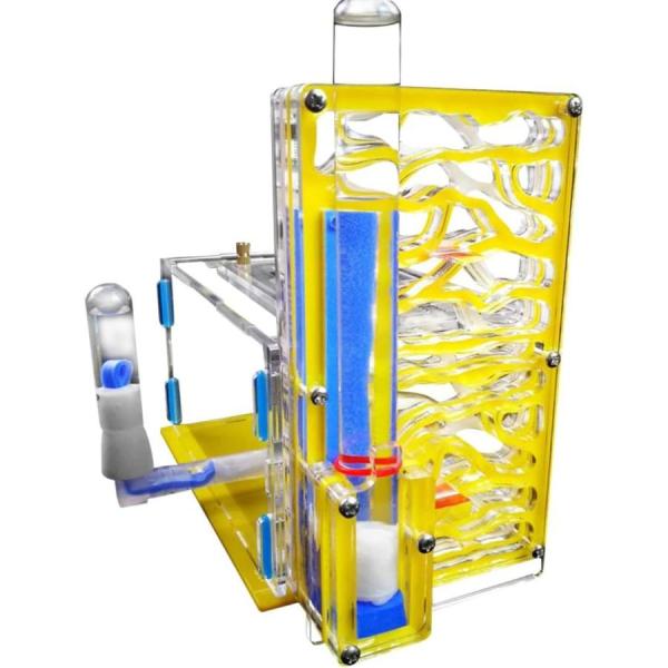2つの巣、1つの給水塔および1つの外的な水ボールが付いている多機能。インストールが簡単です。ほとんどのアリは、アリの生存とアリの卵の発育のために、湿った場所に住むことを好みます。この種の巣には、水の充填を容易にするための注水口が装備されてい...