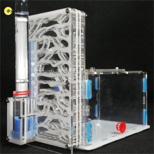 アントファーム アリの巣 蟻 飼育 観察 キット 蟻の巣 組立式 飼育容器 <br>19×9.5×14cm アクリルケース フラスコ 給水 小型 夏休み自由研究<br><br>蟻は含まれてません。<...