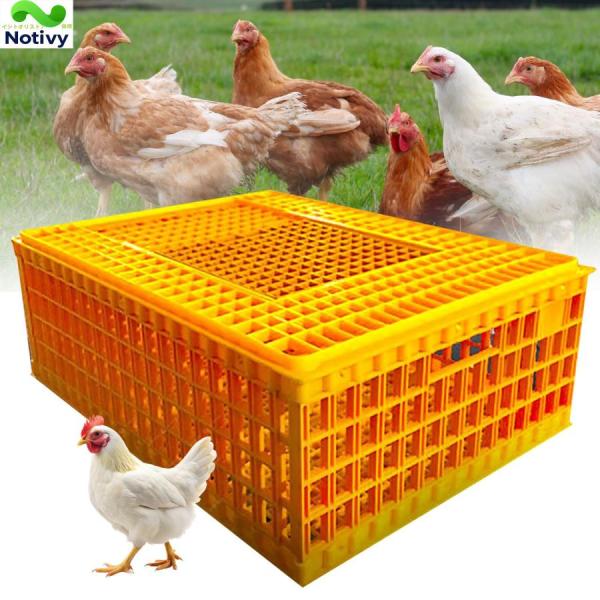 頑丈で耐久性に優れています：高密度プラスチック素材は、耐久性、耐摩耗性、耐圧性、耐落下性に優れ、長距離輸送に適しています。全面に厚みがあり、積み重ねてスペースを有効活用できます。上部開口部：スライド式のプッシュプル式上部ドアは、広々とした出...