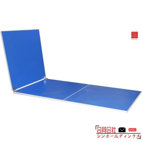 卓球 卓球台 ピンポン台 練習機 練習器 練習台 練習テーブル 1人でも練習可能 1人でも自由に打てばラリー ラリー 高さ調節可 瞬発力訓練 反応力訓練 ダイ