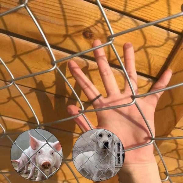 商品リンクが多数ございますため、弊社ではカスタムオプションを設けております。ご希望のサイズがございましたら、お気軽にお問い合わせください。価格設定後、お求めのサイズを最下部のオプションに追加いたします。ご注文時には「カスタム＋カスタム＋カス...