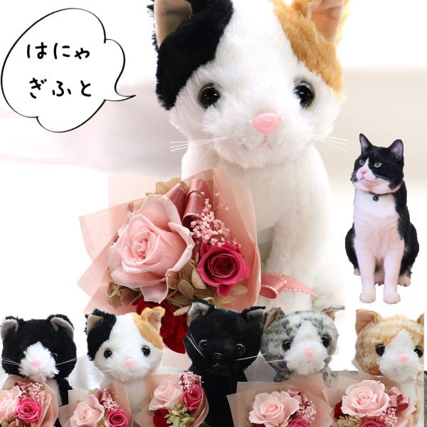 猫好きにはたまらない、猫ちゃんのぬいぐるみとプリザーブドフラワーの花束のセット。かわいいもきれいも贈れる「はにゃぎふと」かわいい猫ちゃんがお祝いやメッセージを届けます。【猫のぬいぐるみについて】大人気のプレミアムパピーシリーズに遂にネコちゃ...
