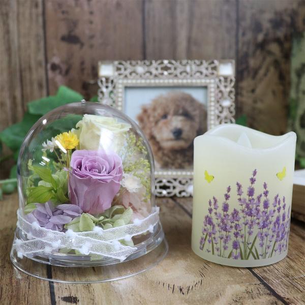 ペットのお供えに寄り添う癒しのギフトセットEDキャンドル＆ドームフラワー「petit d〓me（プティ・ドーム）」セット大切なペットとの思い出に、やさしい灯りと花のぬくもりを。ペットを亡くされた方へ、心にそっと寄り添うギフトセットをご用意し...