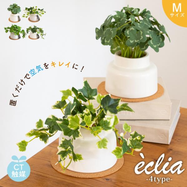 お手入れ不要の観葉植物エクリア♪お部屋に置くだけで、空気を綺麗にするCT触媒加工のフェイクグリーン。抗菌・防汚・防臭の効果がある観葉植物なんです。まるで本物の植物のよう。シンプルで飽きの来ないデザインです♪【サイズ】クローバー：W110・D...