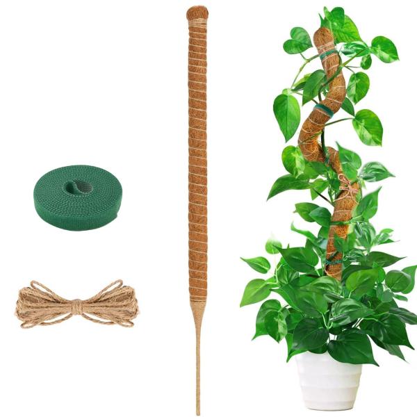 YOUSHY 園芸支柱 観葉植物モンステラ 支柱 ヘゴ支柱つる性植物 ココスティック支柱 植物サポート 維持水分 養分維持 ココナッツ支柱 ガーデニ