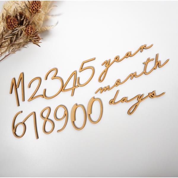 Instagramで大人気！！ナチュラルな字体で出産祝いにも選んでいただいています。お名前レターバナー（＋1000円）とのSetが人気です！赤ちゃんが産まれてから１歳になるまで、毎月の成長を記録するマンスリーフォト。撮影した全ての写真を並べ...