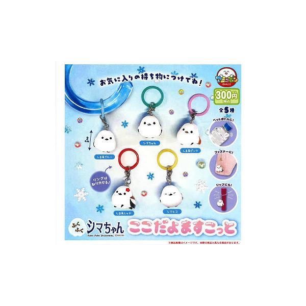 【発売日：2026年09月30日】ふくふくシマちゃん ここだよますこっとメーカー：アミューズラインナップ1.A2.B3.C4.D5.Eお一人様12点まで予約注意事項を記載しておりますのでご確認下さい。