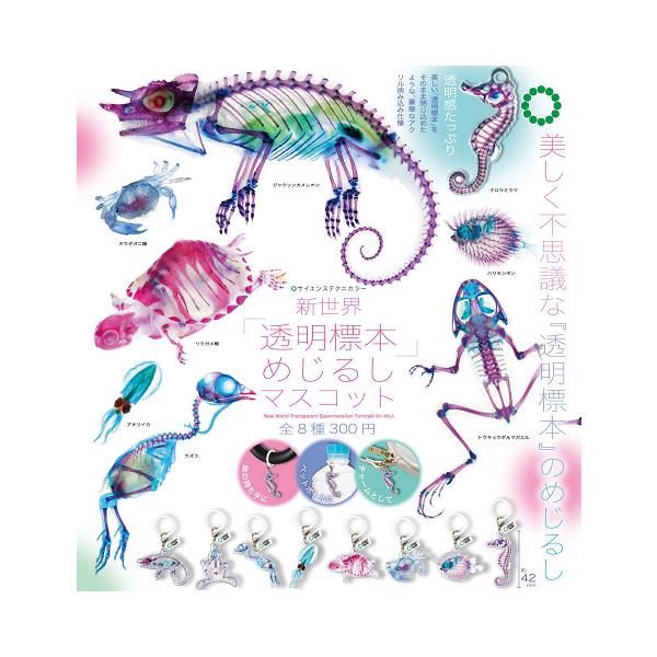 【発売日：2026年10月31日】サイエンステクニカラー 新世界 透明標本 めじるしマスコットメーカー：いきもんラインナップ1.ジャクソンカメレオン2.トウキョウダルマガエル3.ウズラ4.アオリイカ5.リクガメ類6.オウギガニ類7.ハリセン...